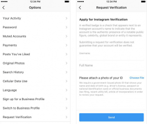Way to Get a Officially Verified Instagram Account - How to