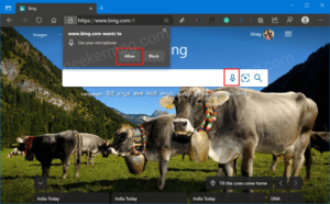 Bing Search let you Search Information & Sites using your Voice